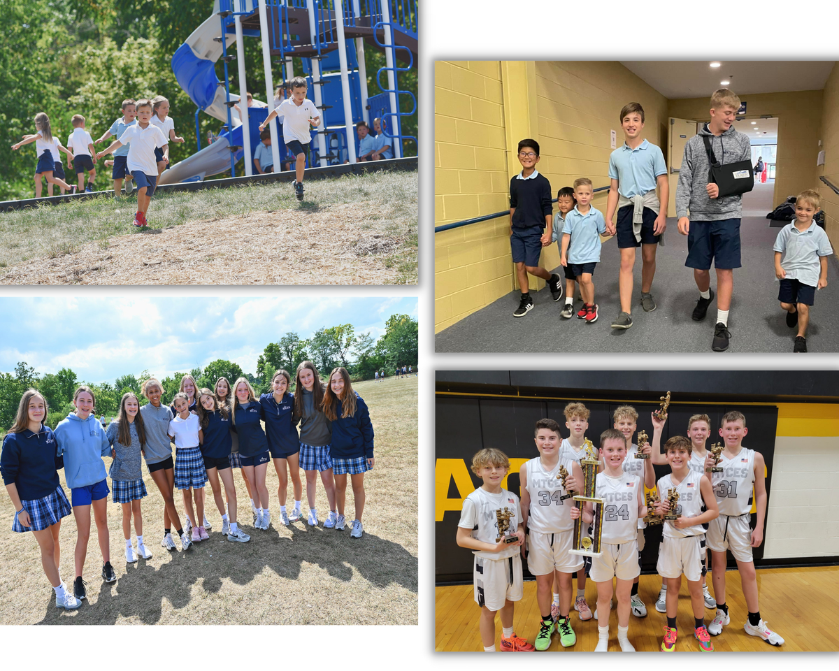 Admissions - Student Testimonials | MTCES